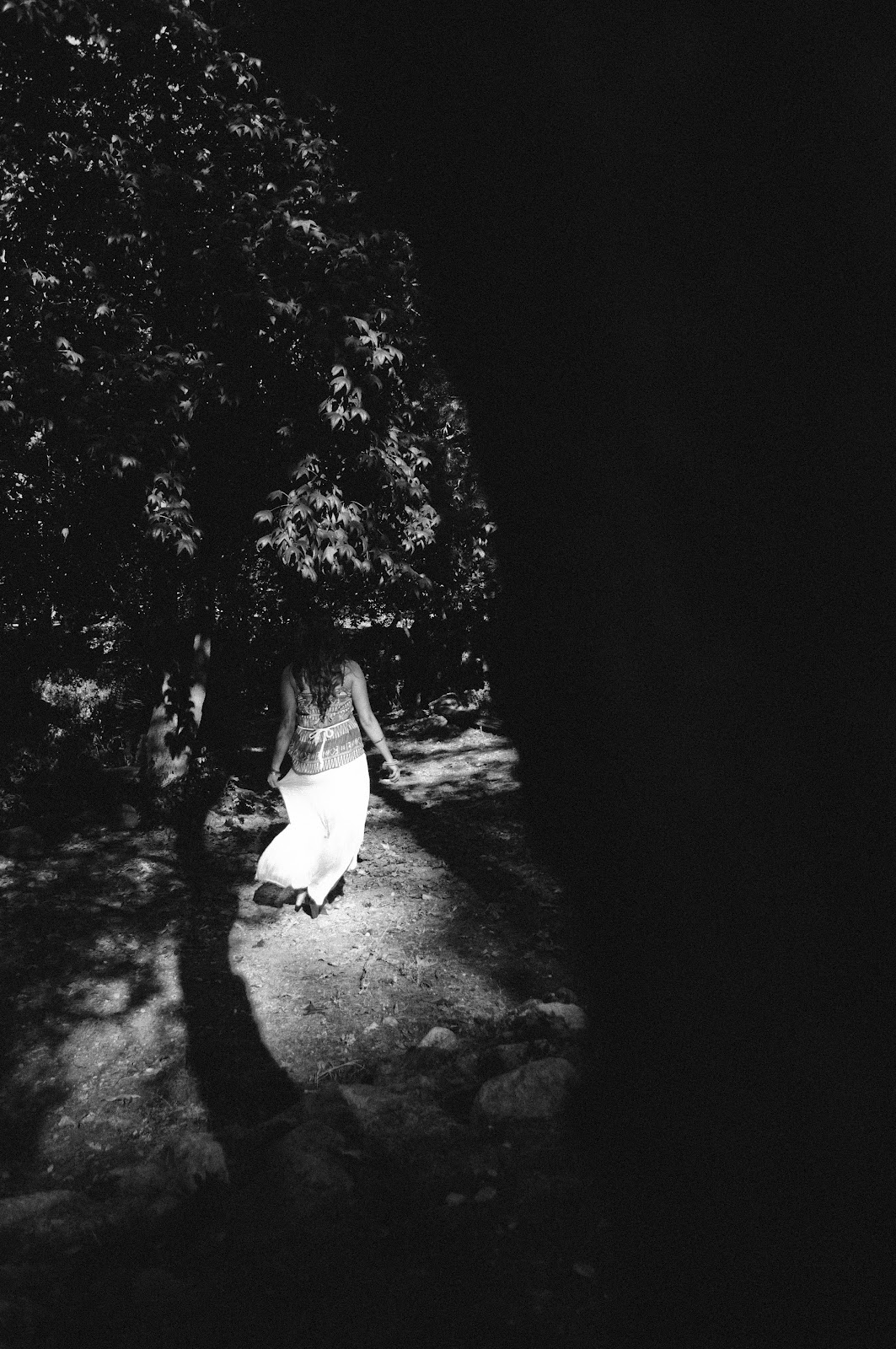 Light and Life with Leah: Susan, Lovely and Ethereal