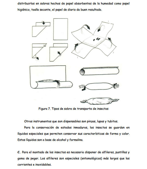 VISIÓN AGROECOLÓGICA: Como Construir un Insectario