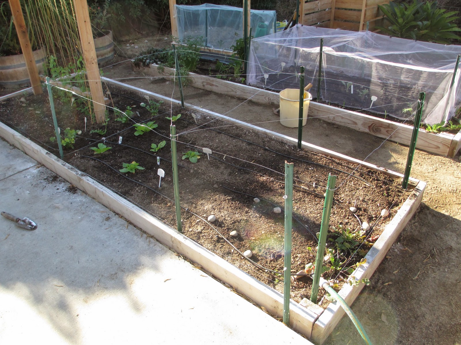 Andie's Way: Making Bigger Cabbage Row Covers