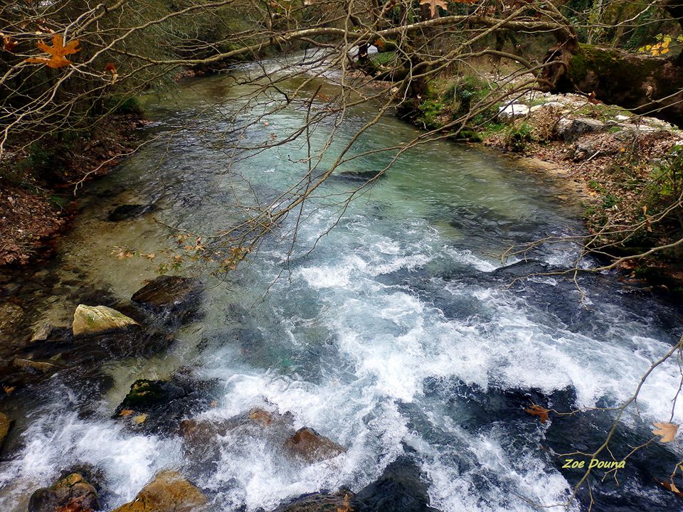 Homo Universalis: ΜΙΝΙ ΟΔΟΙΠΟΡΙΚΟ ΣΤΟ ΝΟΜΟ ΙΩΑΝΝΙΝΩΝ - ΦΩΤΟΓΡΑΦΙΚΟ ...