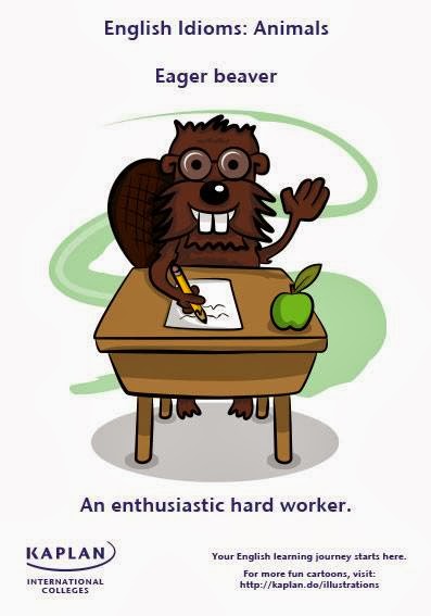 IMAGENS E INFOGRÁFICOS EM INGLÊS: Image - English Idioms - Eager beaver