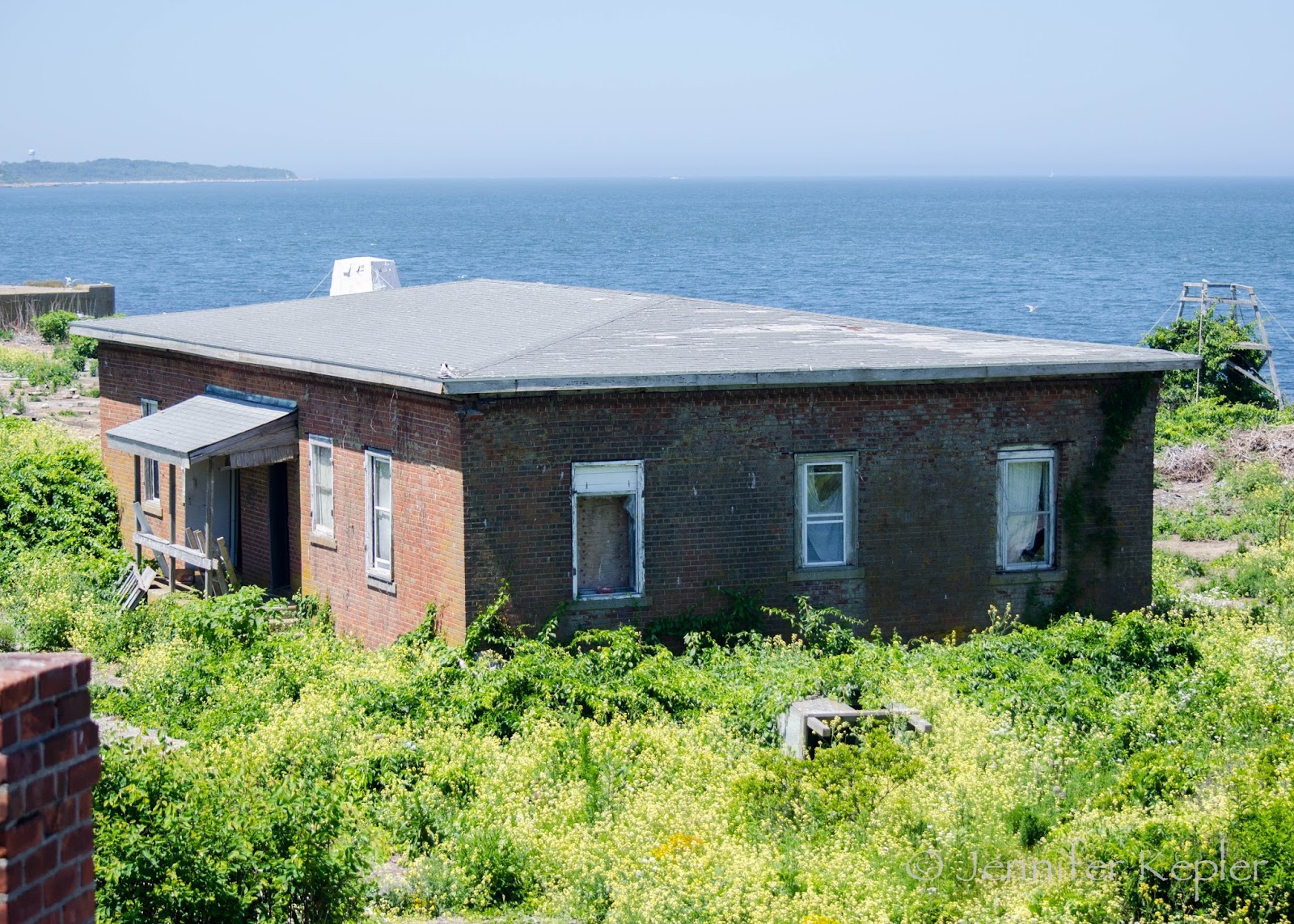 Snapshots of Nature: Great Gull Island: Part 1, the Island!