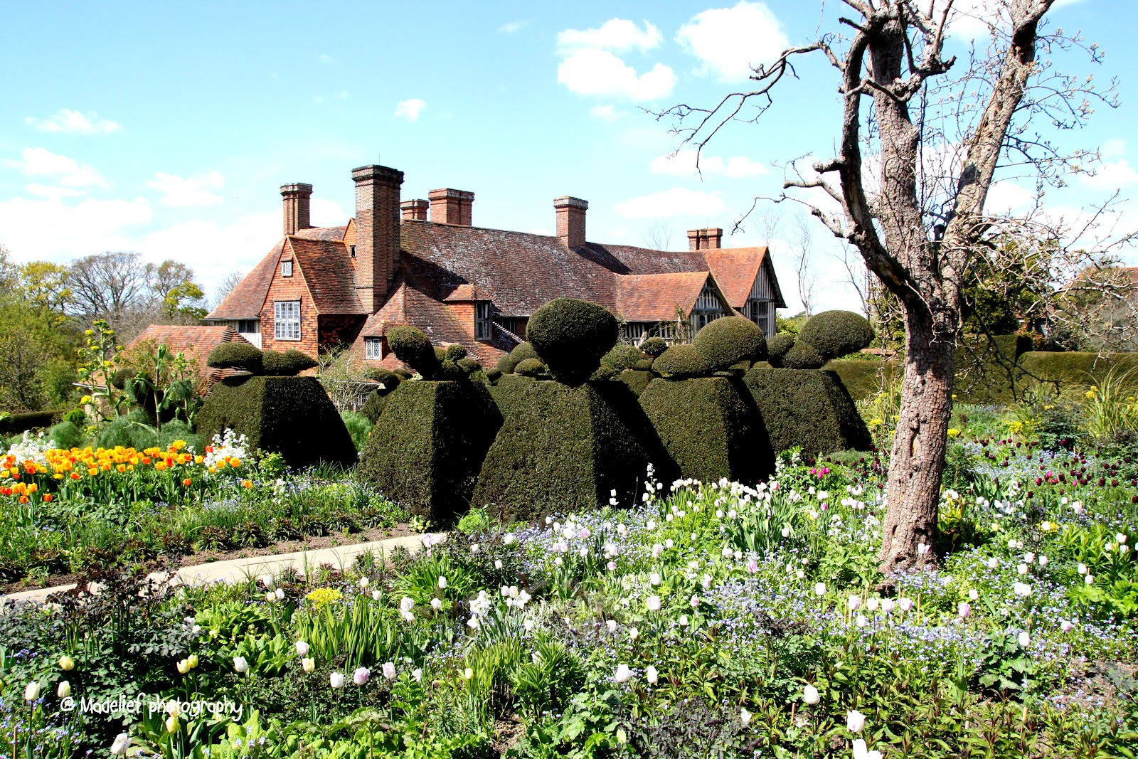 Madelief: In the spring garden