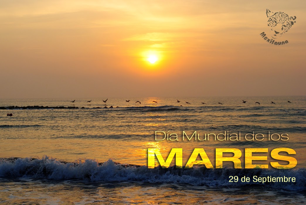MEXIFAUNA: Día Mundial de los Mares