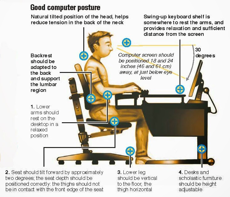Software Review & Tips