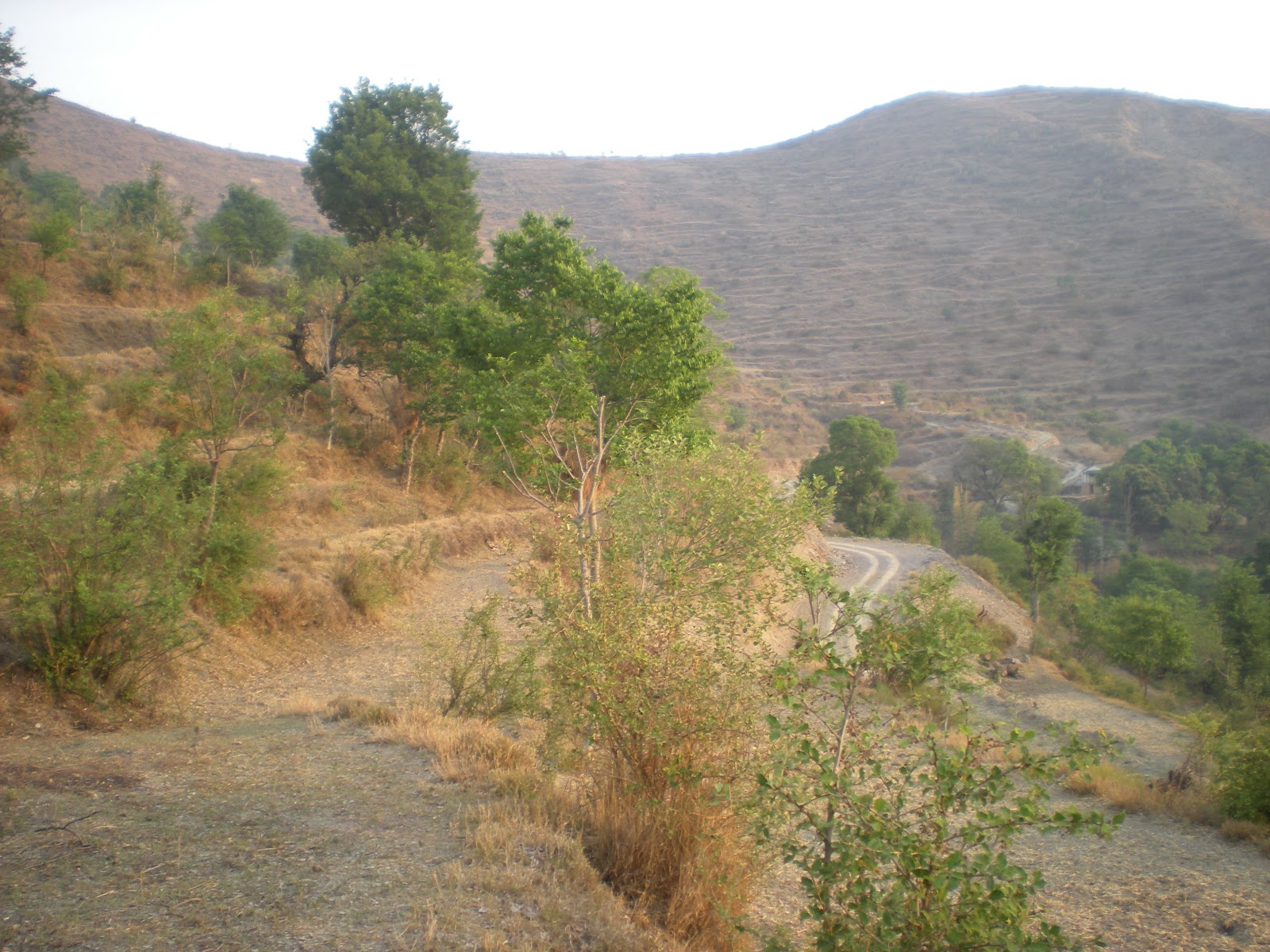 TOURIST PLACE IN INDIA: Pauri Garhwal