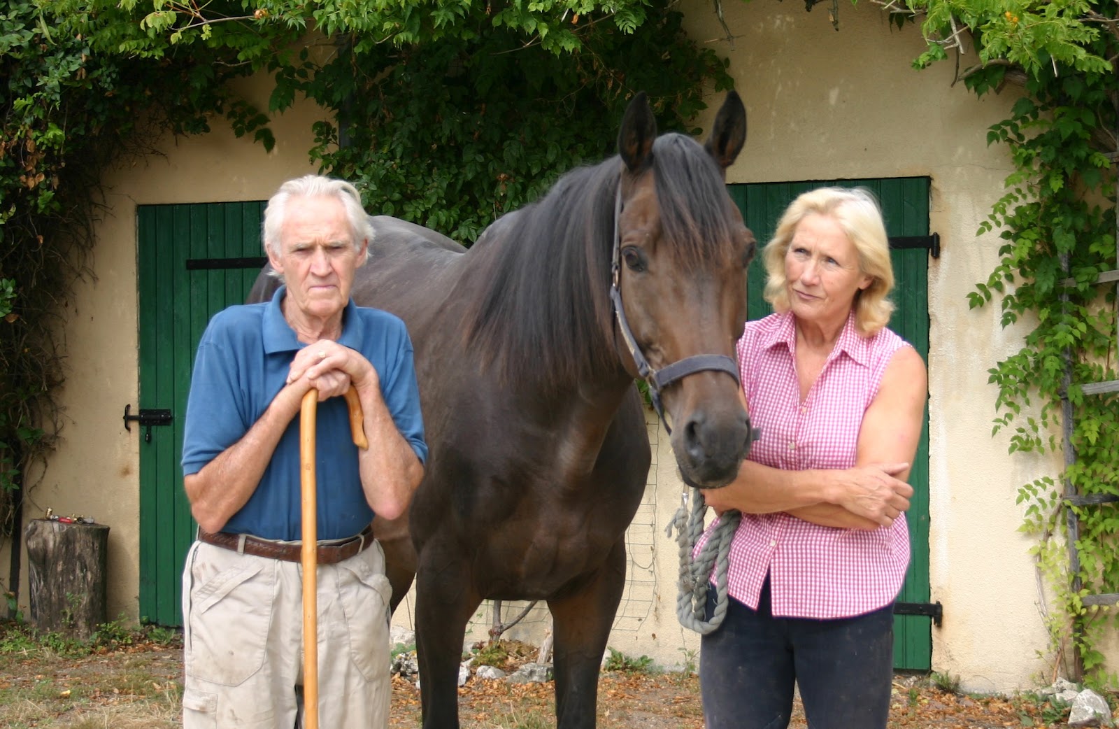 Retrained Retired Racehorses in the South East: Ellen Collinson ...