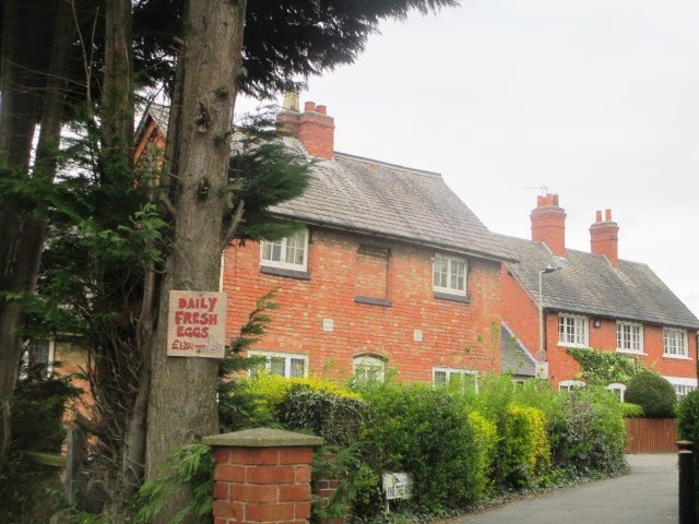 Liberal England: The giant redwoods of Humberstone