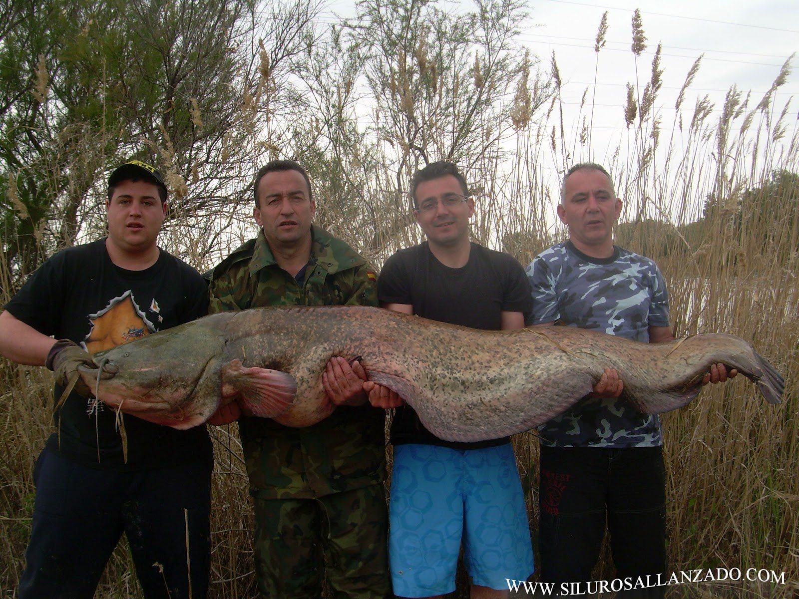 PESCA DEL SILURO EN EL EBRO: PESCA CON GUÍA DE SILUROS AL LANZADO EN EL ...