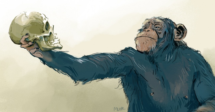 GRANDES SIMIOS PATRIMONIOS VIVOS DE LA HUMANIDAD: PROYECTO GRAN SIMIO ...