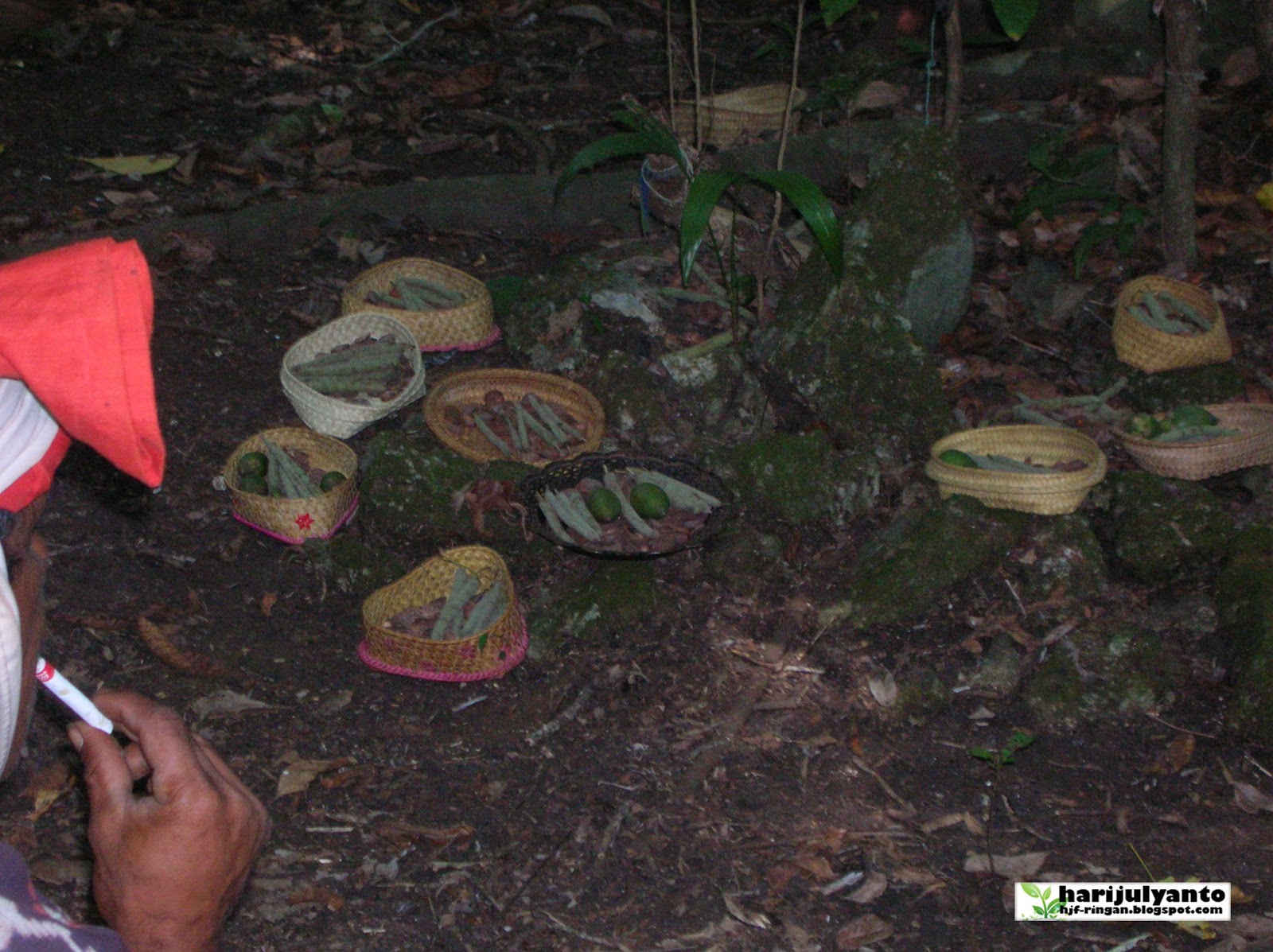 Ringan: Persembahan di Hutan Ritus ( Ritual Purung Taliang Marapu )