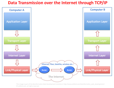 Penjelasan Tentang TCP IP - Yui~