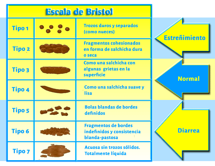 Desarrollo sustentable 2016-2017: Escala de bristol