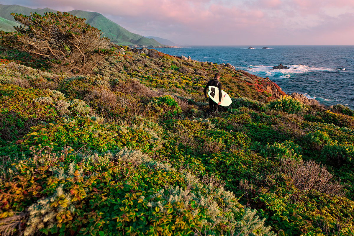 Timeless Environments: Palo Colorado Canyon now a Paradise Lost