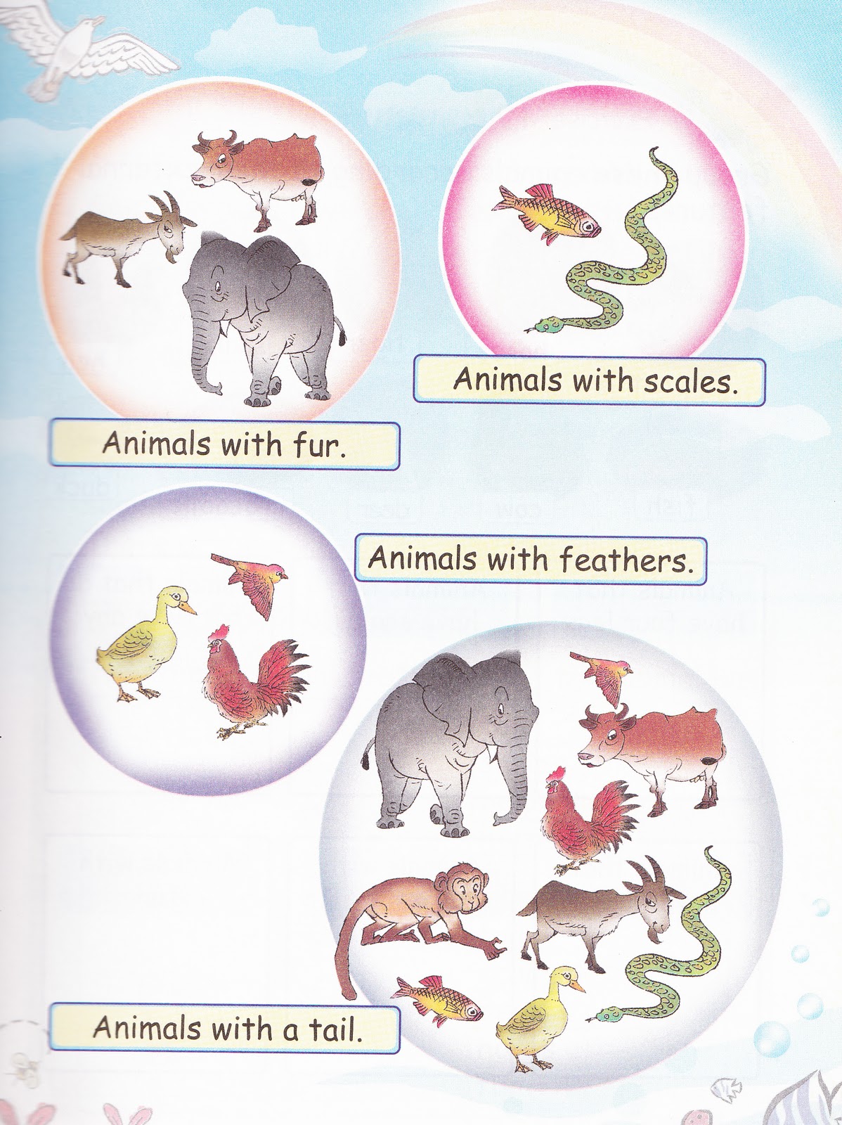 LIM LAI FONG (D20102043844) Science Year 3: October 2011