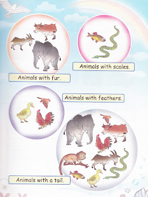 LIM LAI FONG (D20102043844) Science Year 3: Unit 1 : External Features ...