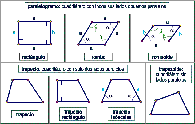 Matemáticas: Triángulos y cuadriláteros