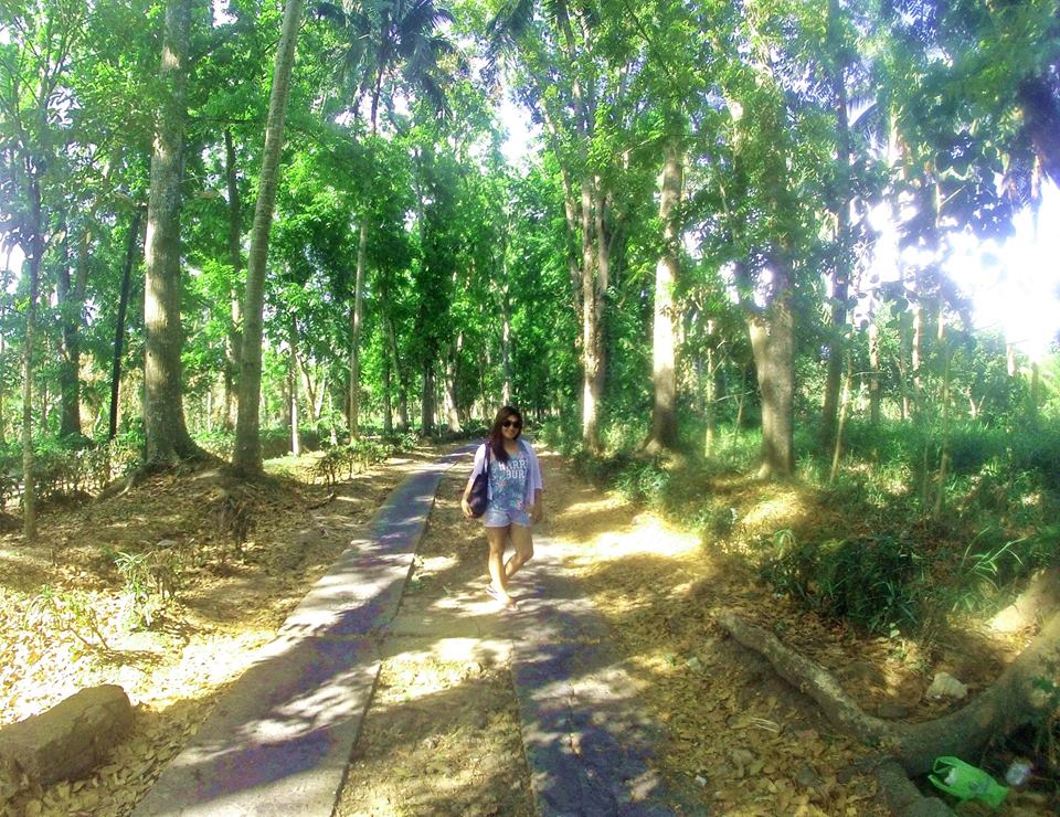 DIY Itinerary to Bato Springs Resort in San Pablo Laguna: How to Get there