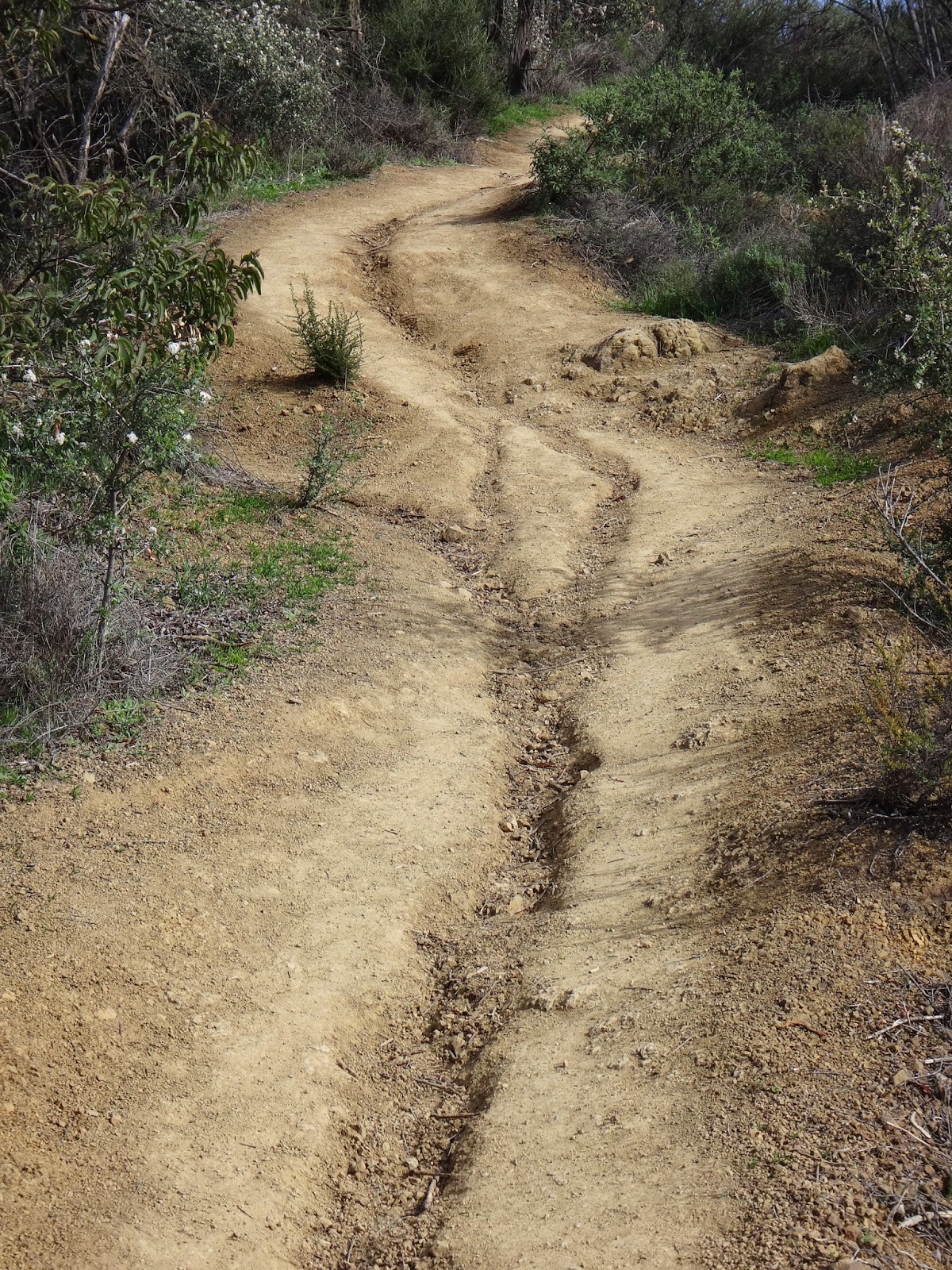 Multi-use Trails Coalition: Cold Spring Trail Erosion Control