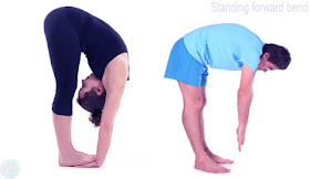 Physical Exercises Names, Meaning & Image | Necessary Vocabulary ...