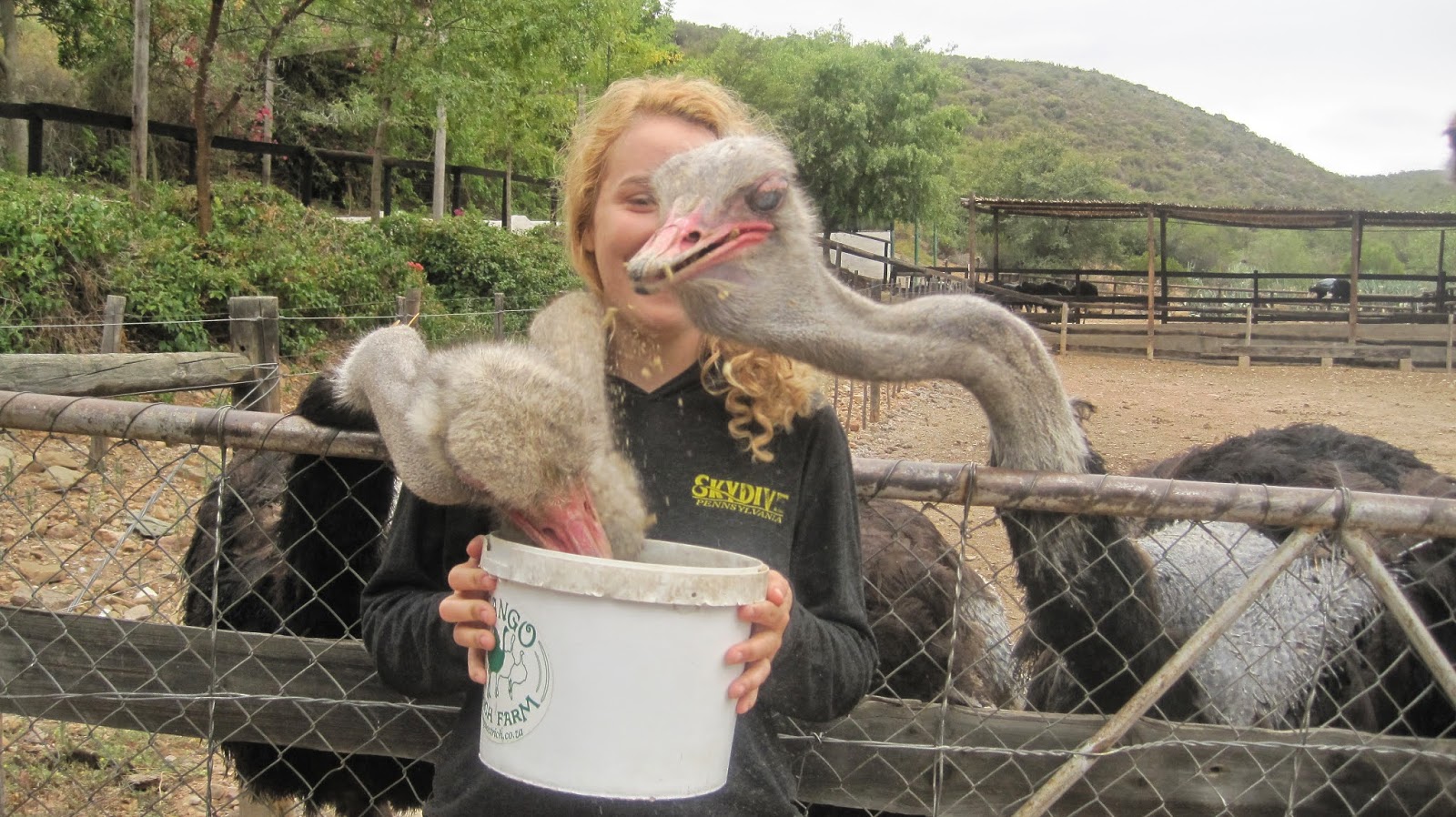 Karibu Africa: Garden Route