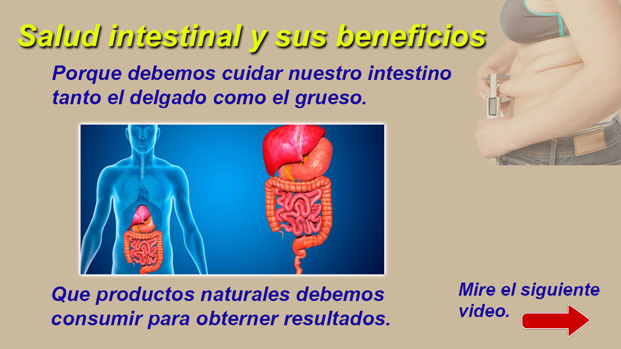 Salud intestinal y sus beneficios ~ Natural Sano y Jovén