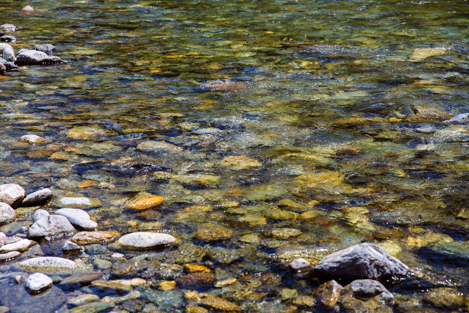 This Little Egge: Summer Camping Trip #2: Rocky Rest, North Yuba River