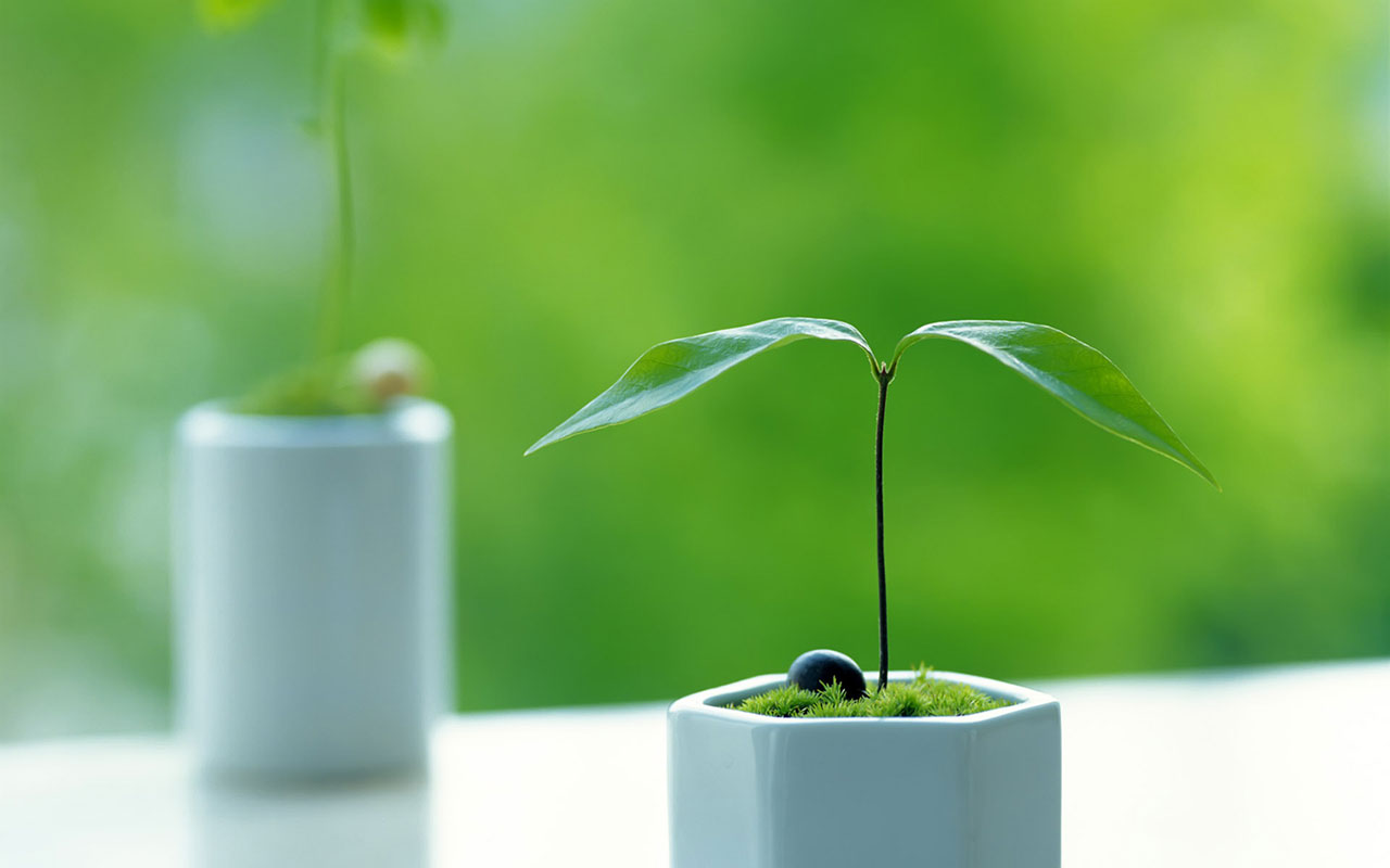 Green HD eye protection wallpaper for PC/Laptop - Mo Utkal (Tech Blog ...