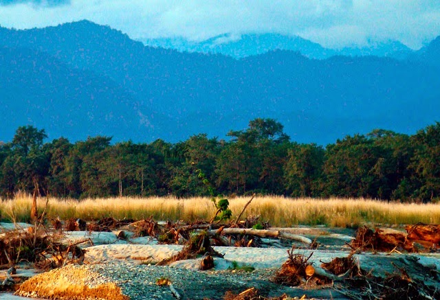 Manas Biosphere Reserve