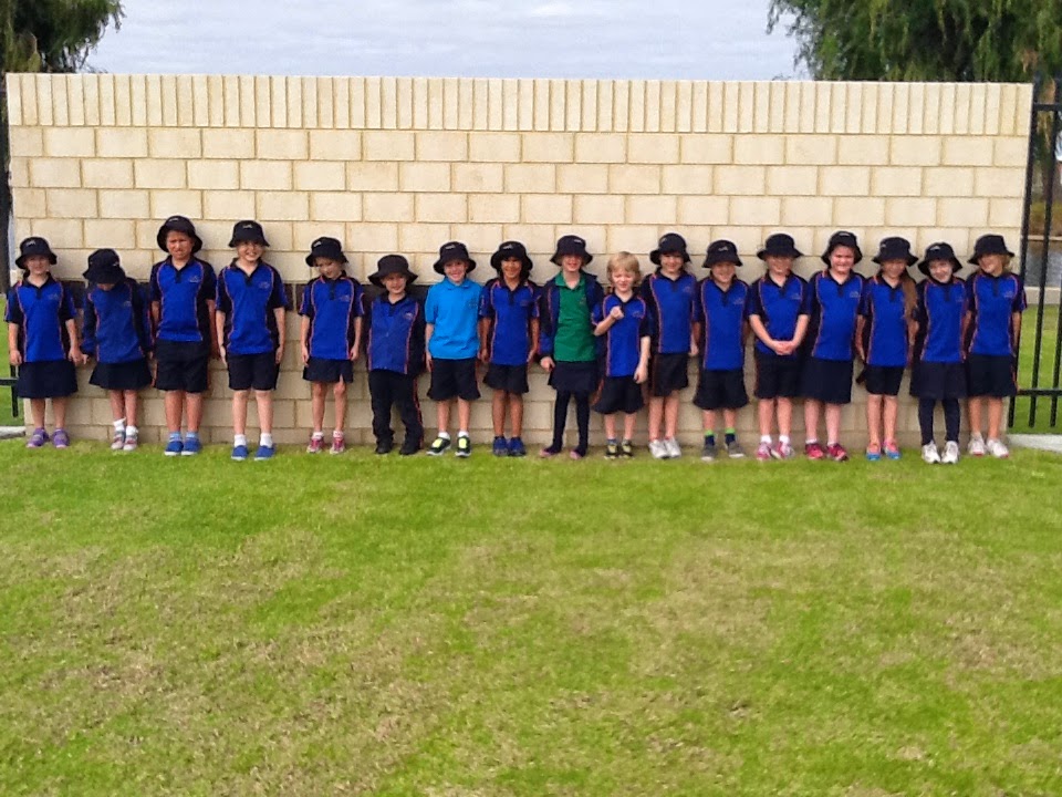 Treendale Primary School Room 8: May 2014