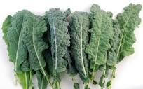 Herbs-Treat and Taste: KALE - ANCIENT GREEN VEGETABLE: HEALTH BENEFITS ...