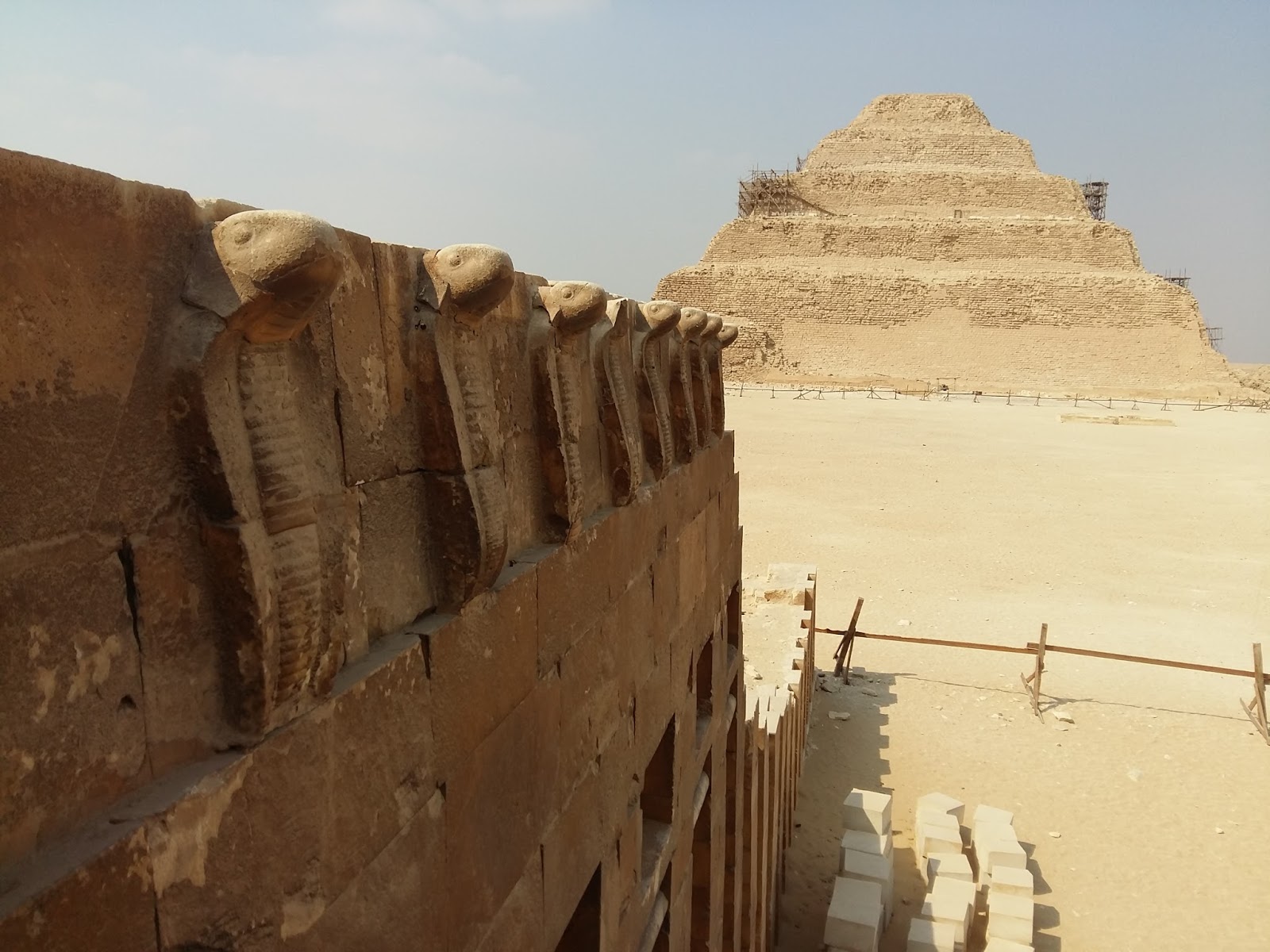 The Wolf among Egyptians: Giza & Sakkara Pyramids