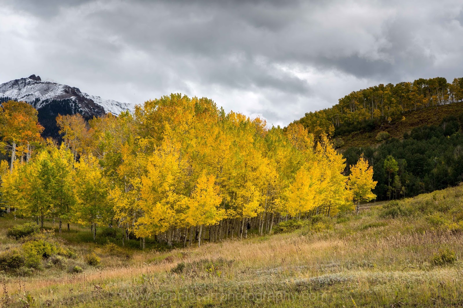 Sophie Carr's Photo Blog: US Road-trip - Drive to Telluride