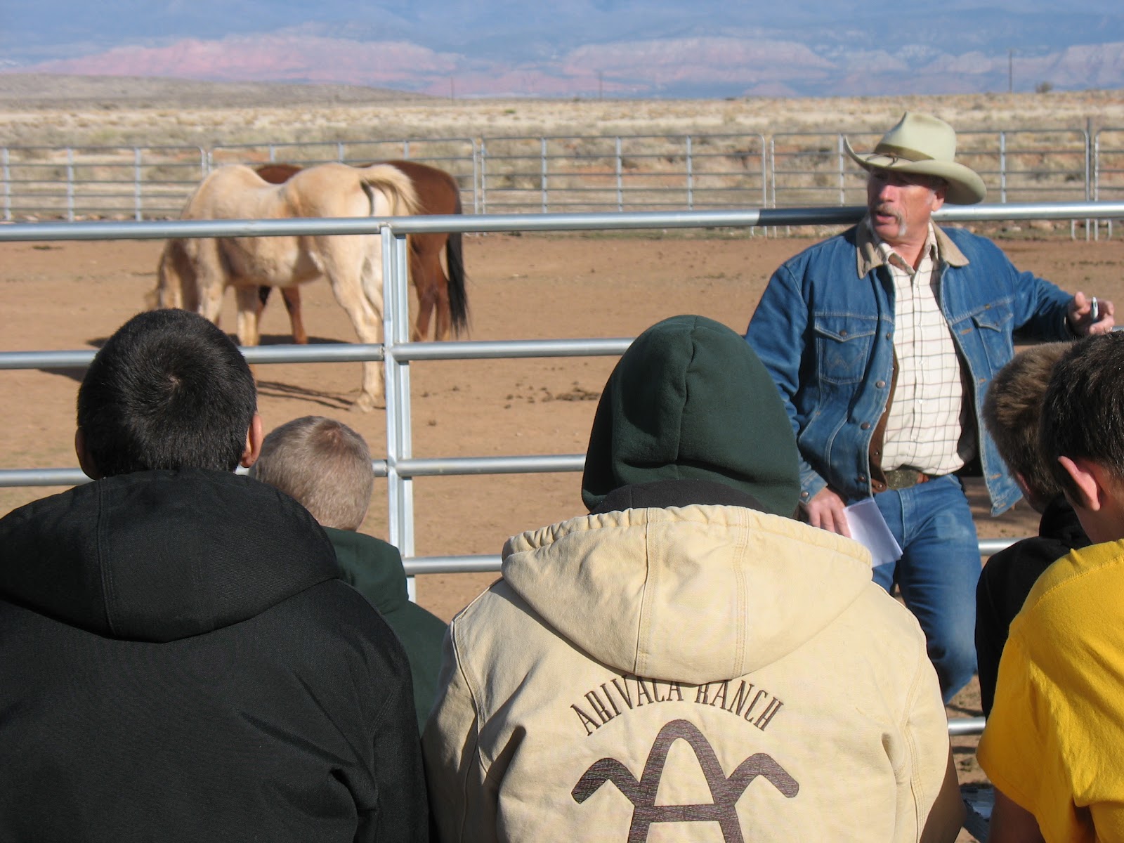 Diamond Ranch Academy | Therapy