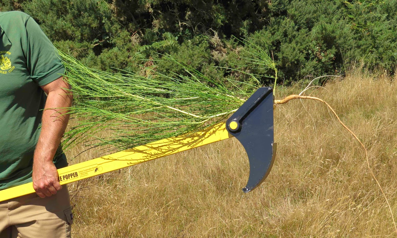 Aldeburgh Golf Club Course Management: Course work update