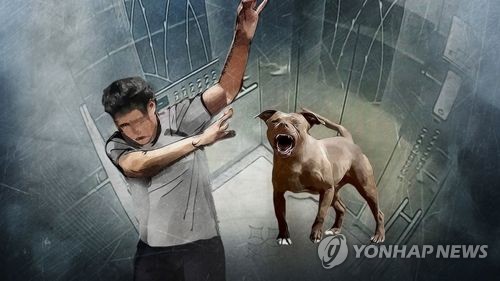 Awareness of aggressive domestic animals rises with Choi Siwon's dog ...