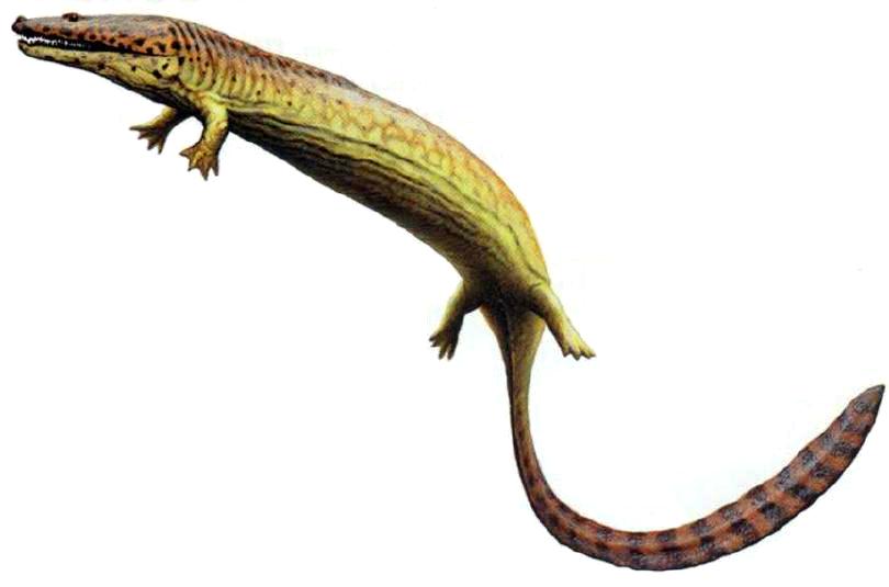 Blog de la Vida Prehistórica: Greererpeton