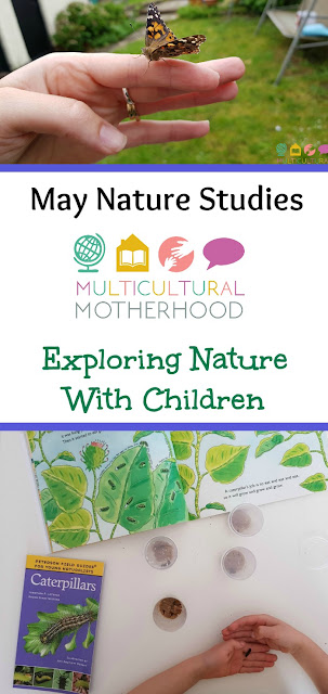 May Nature Studies | Multicultural Motherhood