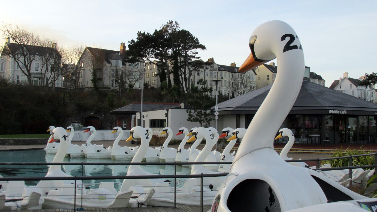 A Passion For Cards: Bangor (Co. Down) Marina and Pickie Pool