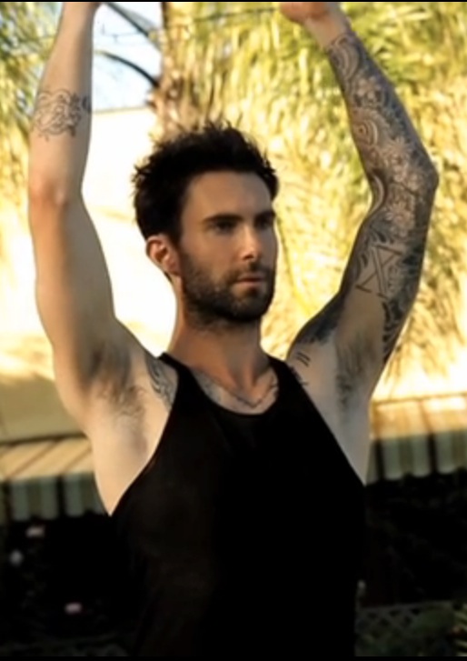 Malepits: Hottest Celebrity Pits - Poll