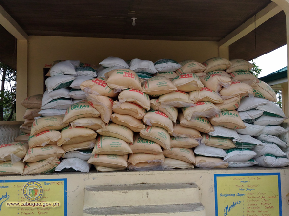 Bayan ng Cabugao: BATANG MET TI BARANGAY TUROD PATAC ITI IMMAWAT ITI ...