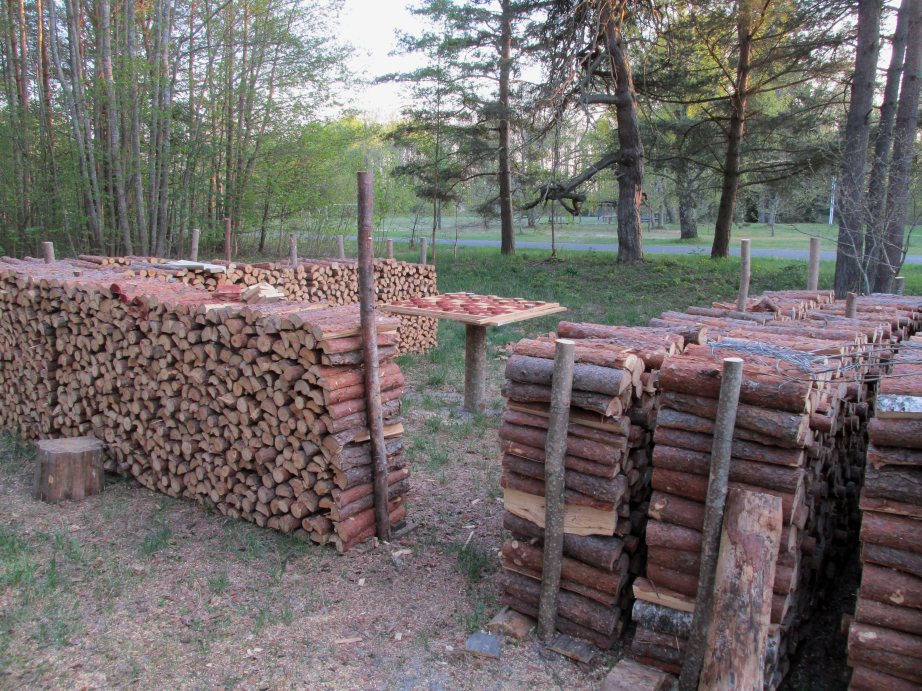 ruhnu päevik: Tähelepanu, kabesportlased!