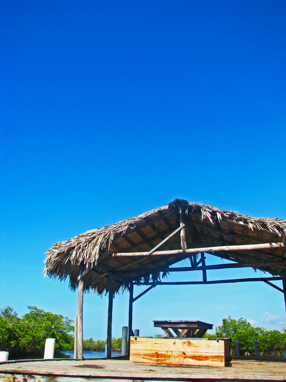 Emilee Michelle Photography