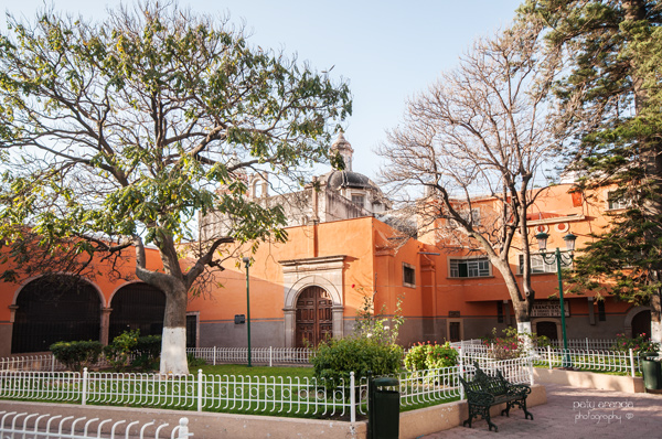 Celaya, Gto. - Paty Aranda Photography