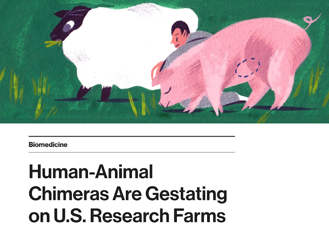 Genomic Entertainment: Generating human organs by growing them inside ...