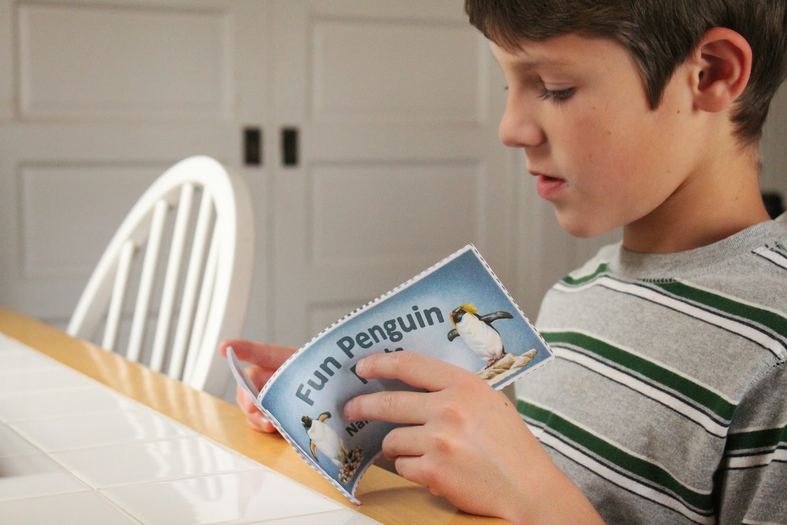 The Penguin Pack from All About Learning Press {December Promo ...