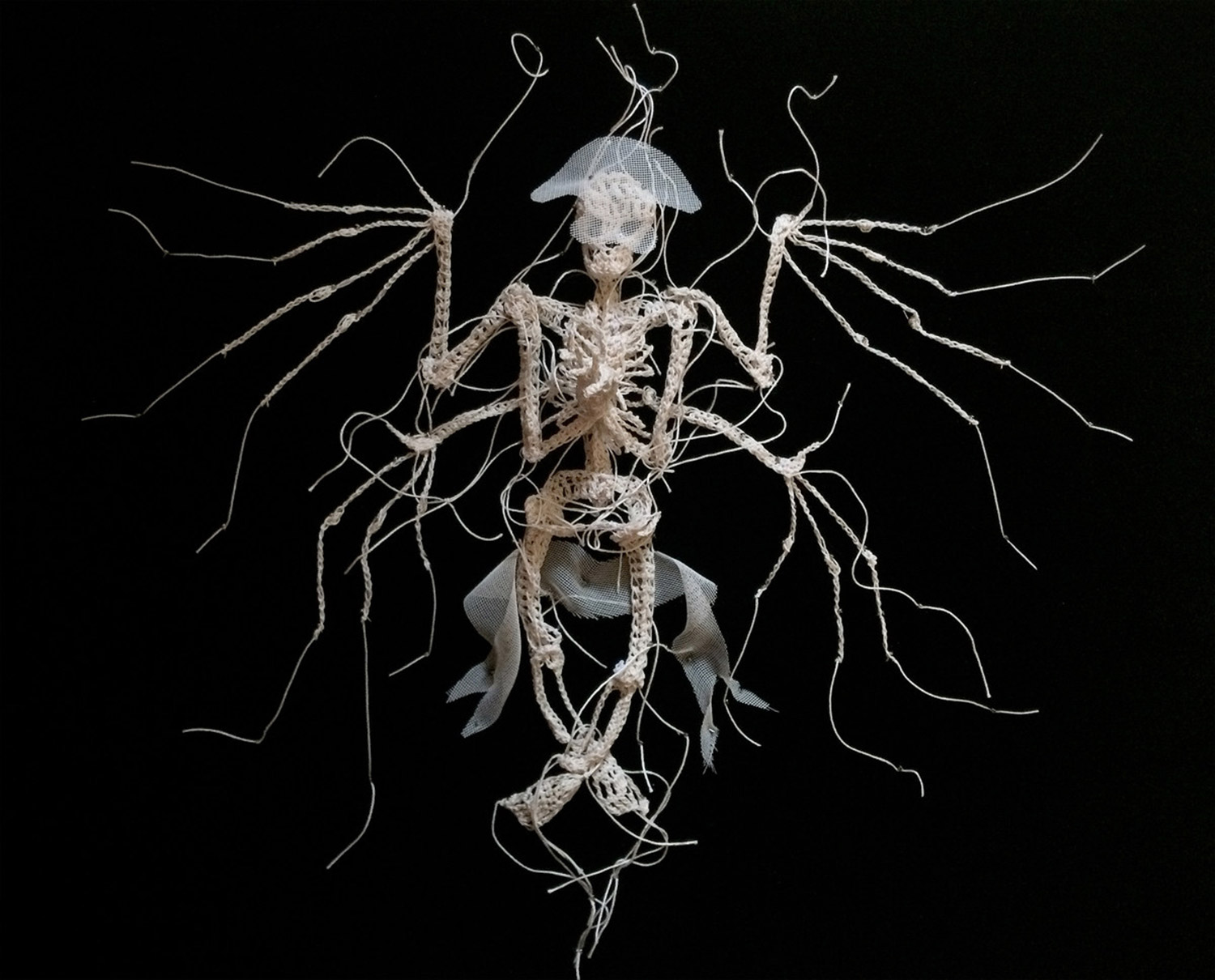 Animal Skeletons Of Cotton String And Glue