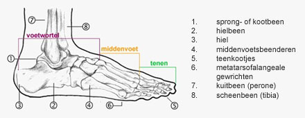Navelpluisjes: augustus 2016