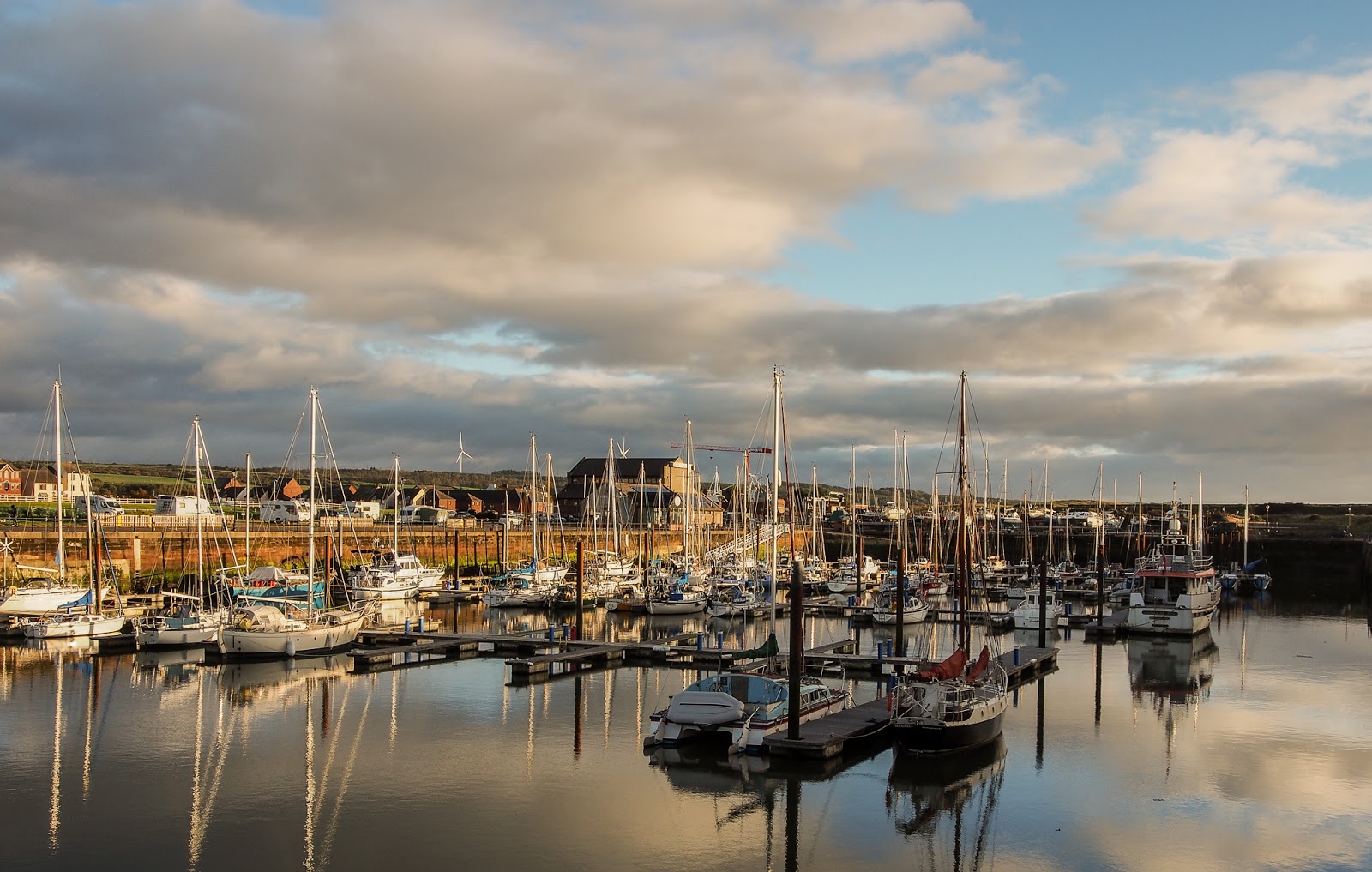 Starting life aboard: Lumpy sea, sandpipers and a starfish