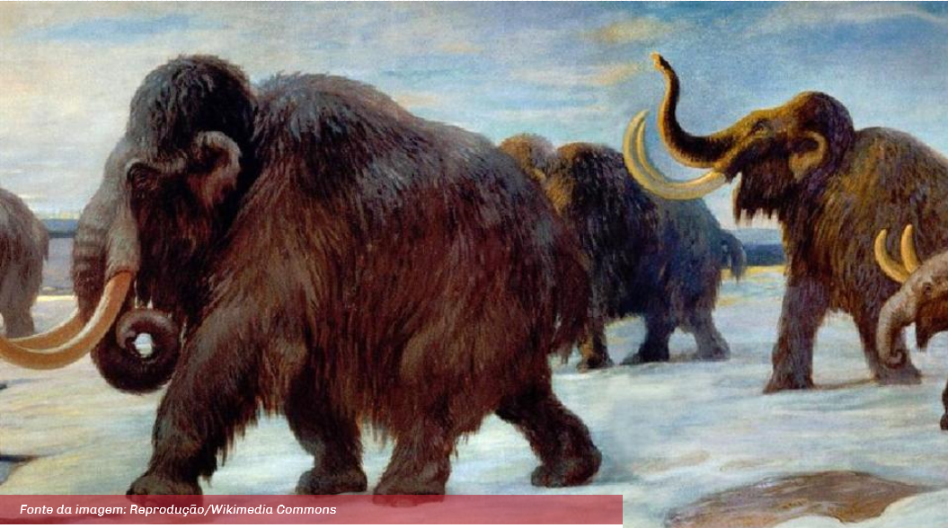 Cientistas querem trazer de volta 22 animais extintos